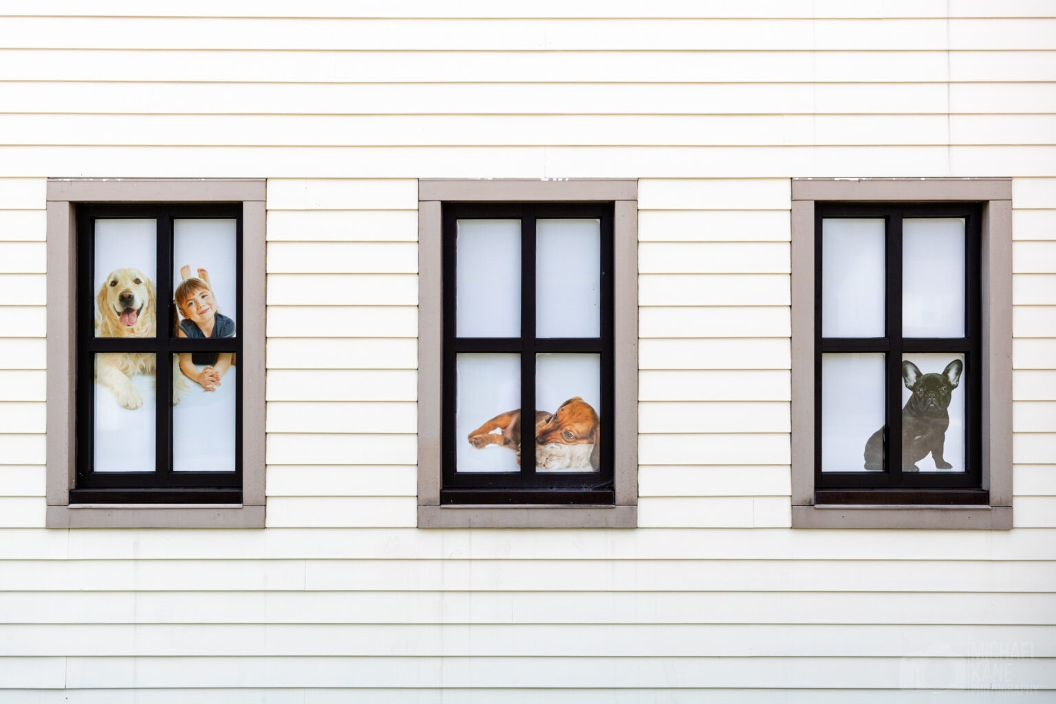 Vinyl Graphic Signs - Insta Signs Plus | Delaware Signs